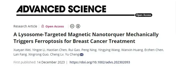 Ambeed文献解读：advanced Science 基于铁死亡的动态靶向癌症治疗新策略 知乎
