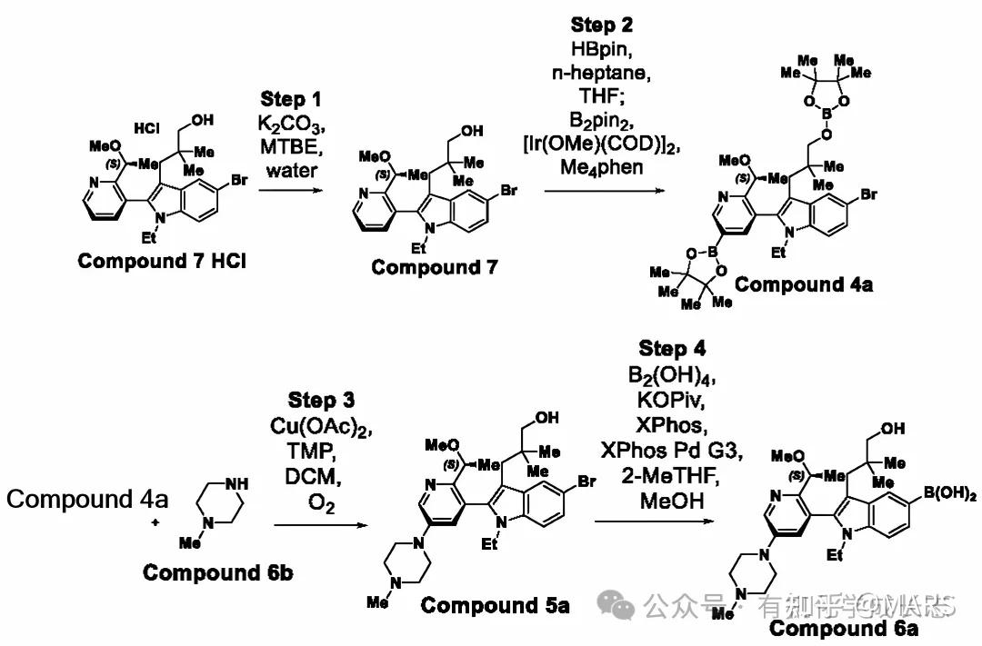 RMC-6236的合成工艺赏析 - 知乎