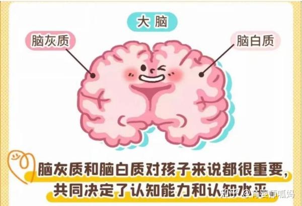 宝宝DHA补充如何“补全”——童年时光inne全脑DHA，全面升级一粒补全 - 知乎