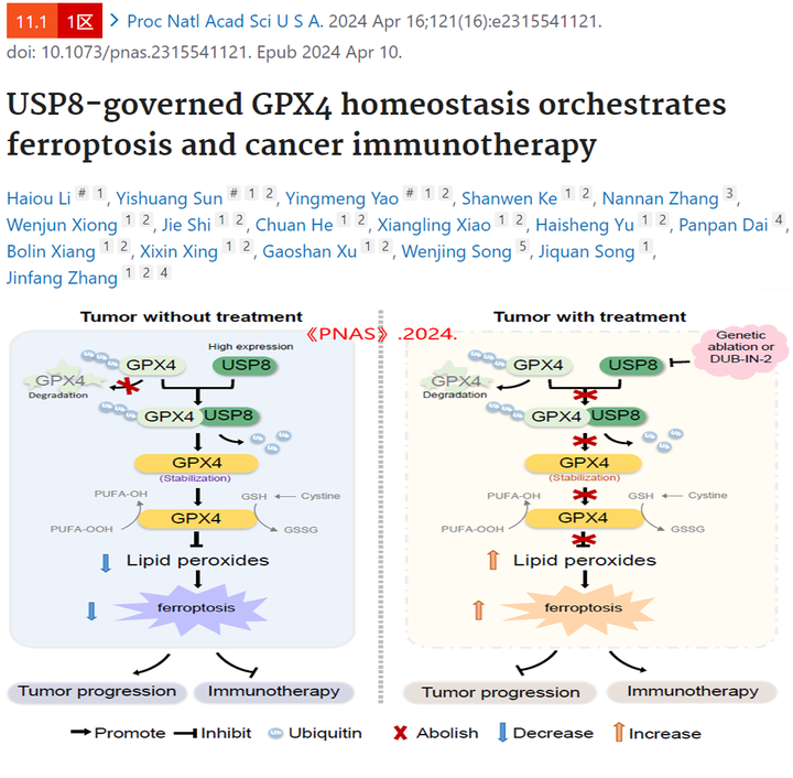 《PNAS》解读：去泛素化修饰去泛素化酶USP8靶向铁死亡提高肿瘤免疫治疗的机制 - 知乎