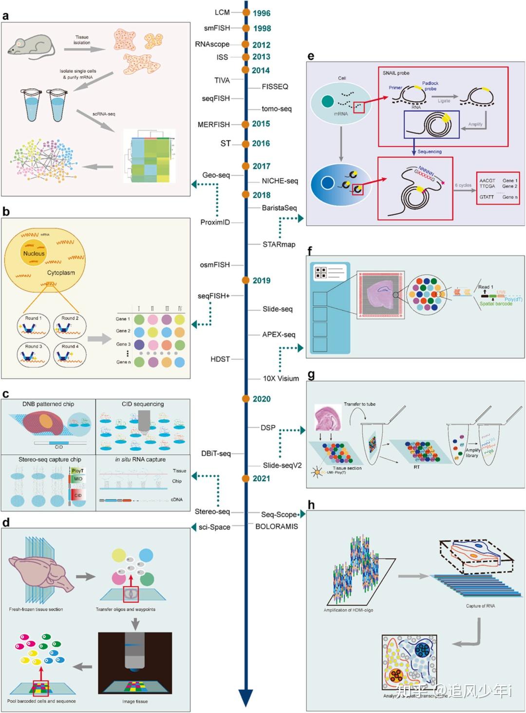 单细胞空间转录组学的临床和转化价值 - 知乎