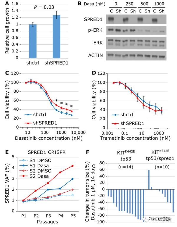 懿贝瑞：人类肿瘤基因组学和斑马鱼模型确定基因SPRED1缺失促进粘膜黑色素瘤产生 - 知乎