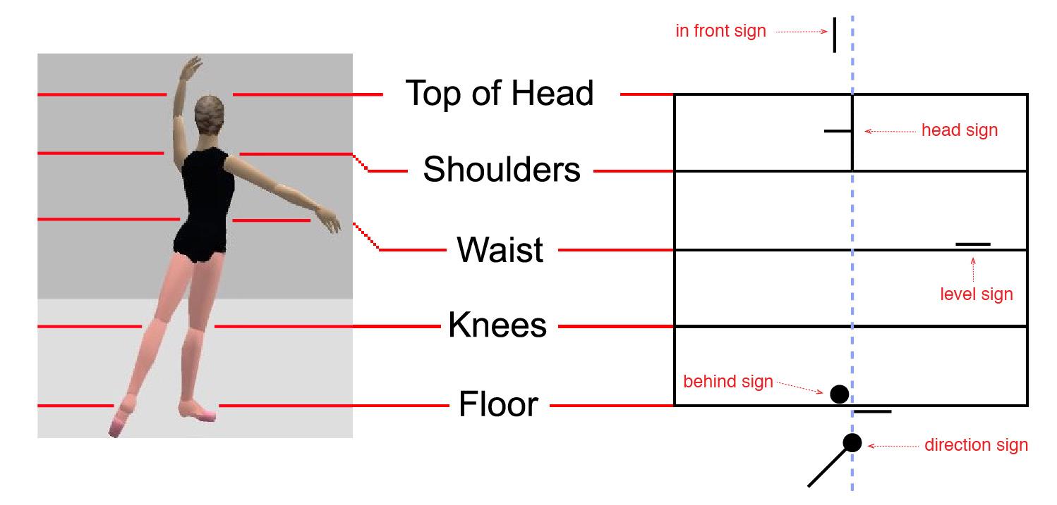 芭蕾的衍生物——Benesh 和 Laban 舞谱 - 知乎