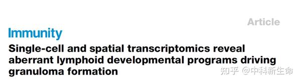 Immunity （IF=43.474）丨单细胞+空间联合揭示肉芽肿形成的异常淋巴发育进程 - 知乎