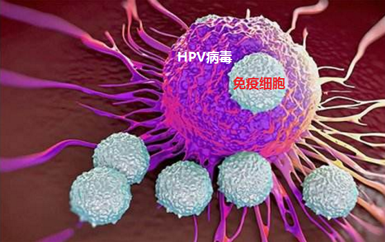 为什么会得宫颈癌？与这些因素脱不了关系 知乎