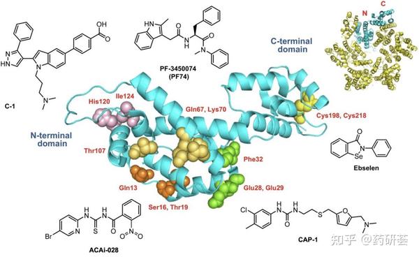 吉利德FIC长效HIV疗法获FDA批准！每年只需用两次 - 知乎