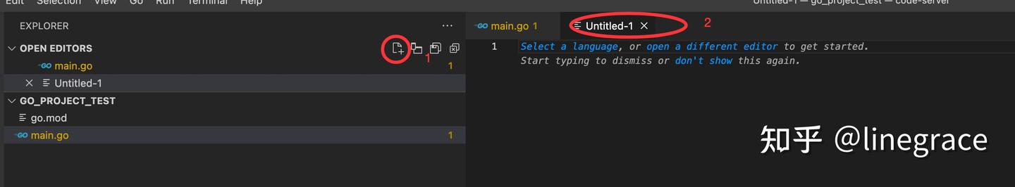 Code Server/VS Code go语言项目创建教程 - 知乎