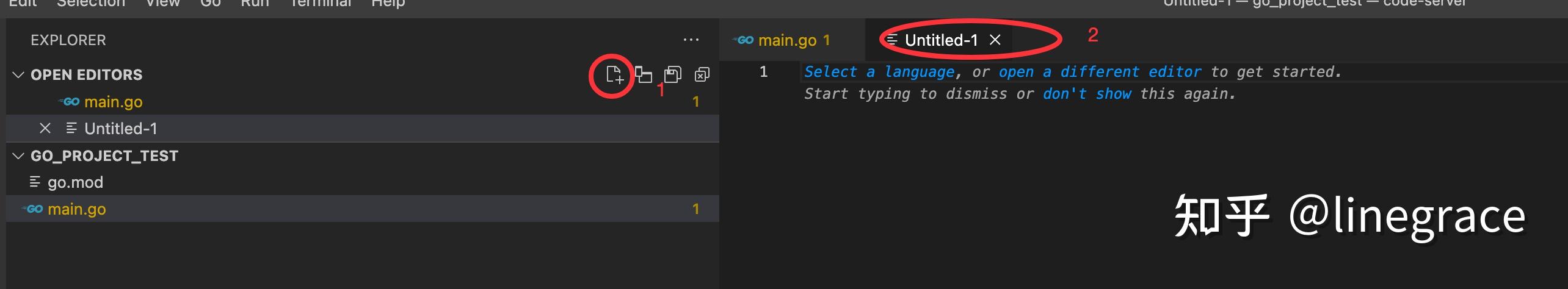 Code Server/VS Code go语言项目创建教程 - 知乎