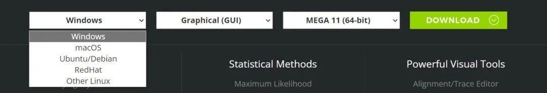 MEGA | 多序列比对及系统发育树的构建 - 知乎
