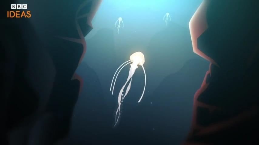 The Secrets of the Deep Ocean - 知乎