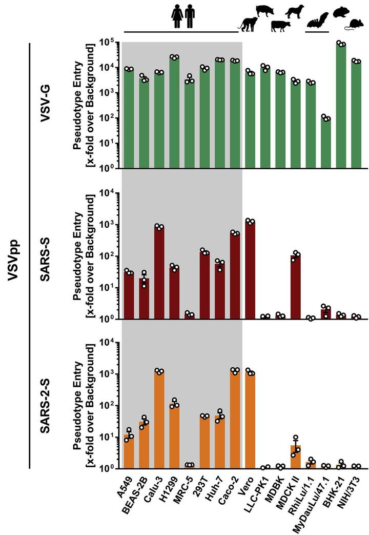 R语言 ggplot2 学习Cell文章精美柱状图以及多种绘图技巧 - 知乎
