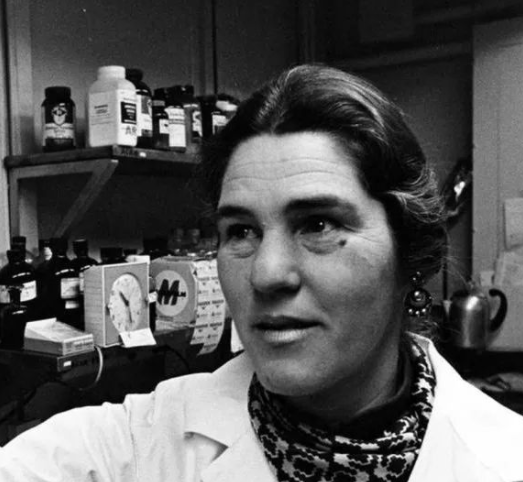 优料小讲堂 | 最古老的靶向药——伊马替尼（格列卫） - 知乎