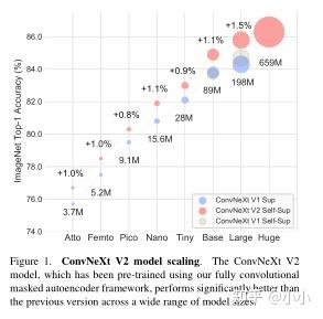 CNN（十二）ConvNeXtv2 - 知乎