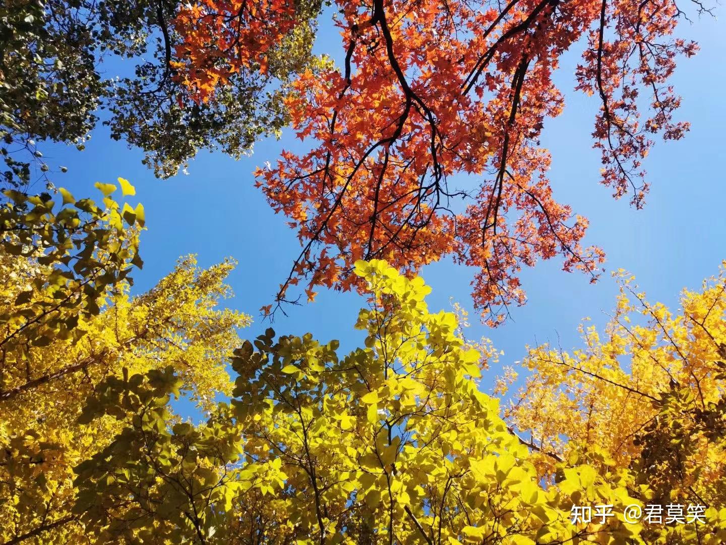 django自定义标签学习整理(simple_tag、inclusion_tag、 assignment_tag) - 知乎