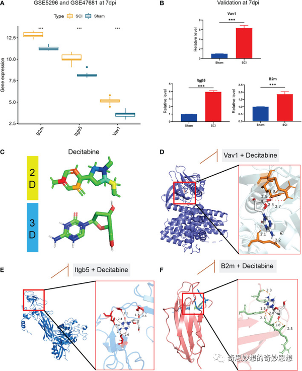 单细胞和bulk RNA测序的联合分析，揭示了脊髓损伤中的免疫浸润和靶向治疗药物 - 知乎