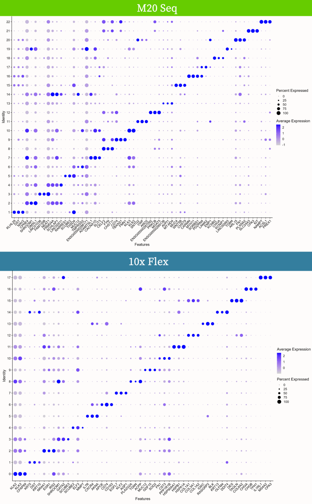 M20 Seq与10x Flex石蜡包埋样本实测数据对比 - 知乎