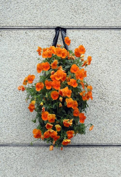 China’s International Development Cooperation in the New Era（31） - 知乎