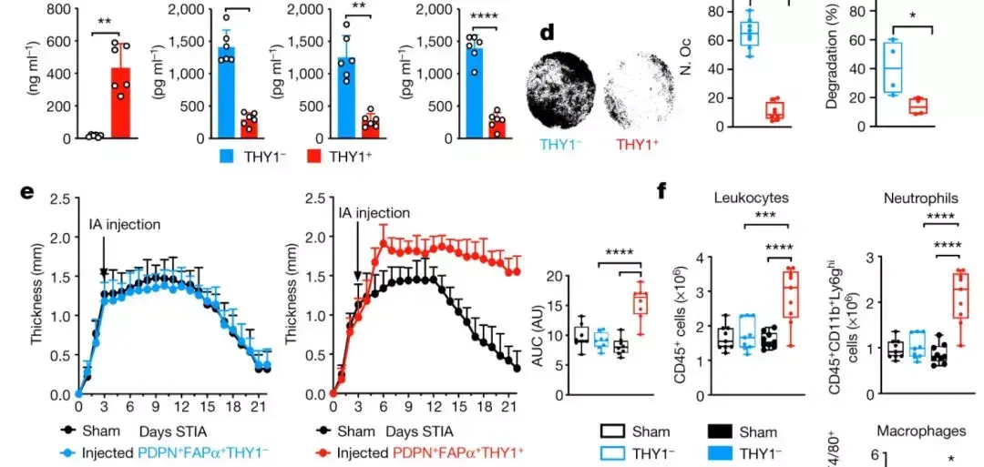 顶刊级数据图美化实操教程，手把手教你画出Nature同款图表 - 知乎