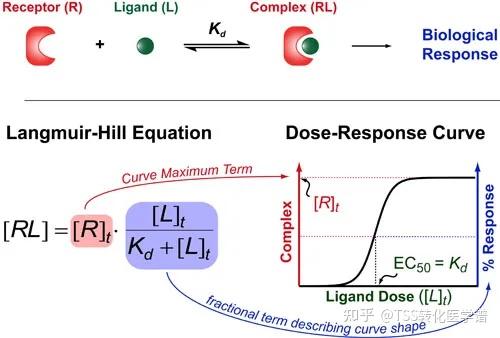 常用ITC、SPR、ELISA等方法如何检测受体和配体分子间相互作用Kd - 知乎