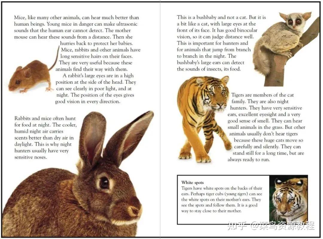 DK百科全书【重磅】560本 - 知乎