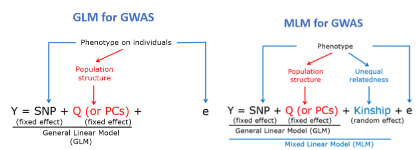 极智课堂 01期丨关于GWAS那些事儿~ - 知乎