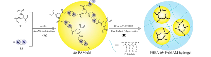 球状/水溶性/PHEA-hb-PAMAM 聚丙烯酸羟乙酯偶联超支化聚酰胺-胺树枝状共聚物 - 知乎