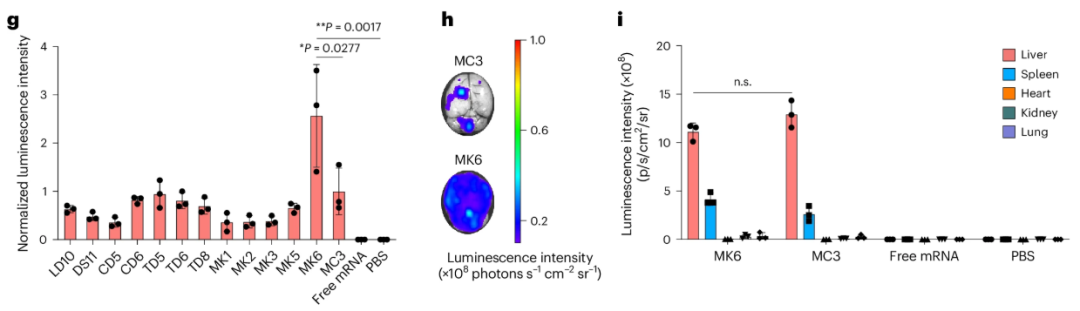 IVIS视角丨助力药物研发：可穿越血脑屏障递送mRNA的脂质纳米颗粒 - 知乎