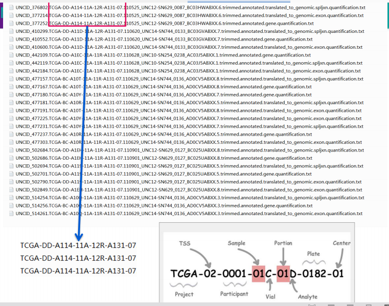 如何快速掌握TCGA数据库？ - 知乎