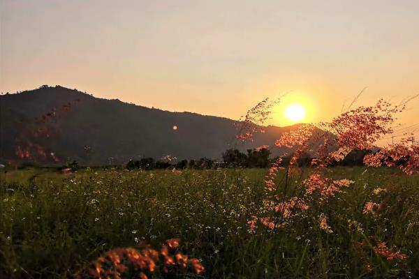 《网络工程师的Python之路》（从paramiko走向netmiko，send_command详解，su提权，华为） - 知乎