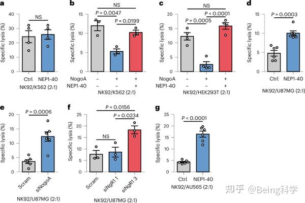 发现 | 新型NK细胞抑制受体NgR1，可破坏免疫突触稳定性！ - 知乎