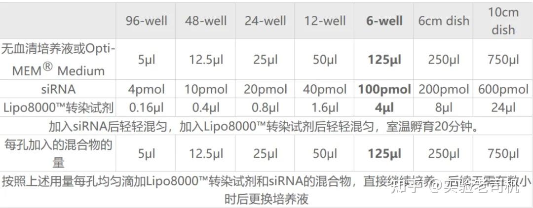 手把手教学｜基因沉默实验：siRNA设计和转染 - 知乎