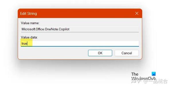 如何在 OneNote 中激活 copilot - 知乎