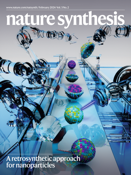 报名参加 Nature Synthesis 期刊在线研讨会：聚焦流动化学中的合成 - 知乎