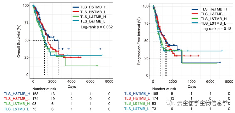 一篇science引出一个潜在生信热点— —三级淋巴结构（TLS），创新性高、生信发文空间巨大，看到就是赚到！ - 知乎