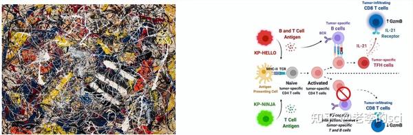 如何做出CNS级别的论文插图？配色指南和软件推荐来了！ - 知乎