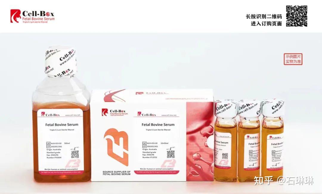 关于293T细胞培养的那些事 - 知乎