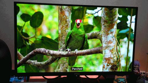 4k va miniled 和 2k oled怎么选？ - 知乎