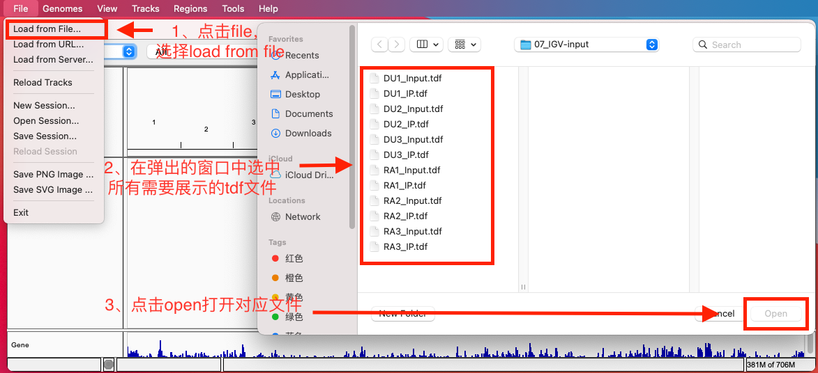 深入解析IGV基因组浏览器：igvtools快速 - 知乎