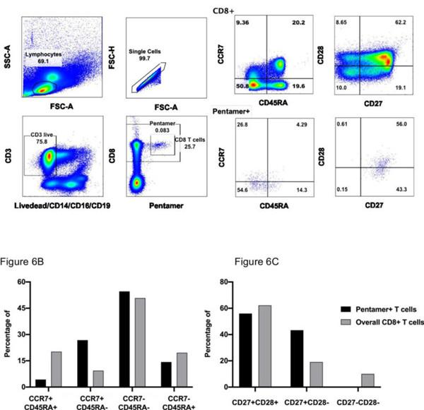 五聚体(ProImmune)——检测和分离少至淋巴细胞0.02%的抗原特异性CD8+T细胞群 - 知乎