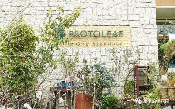 日本的那些园艺店-关东篇-1|旅行 - 知乎