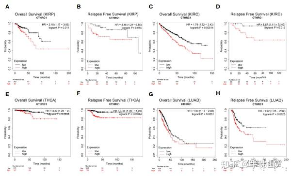 单基因纯生信轻松发6分SCI - 知乎