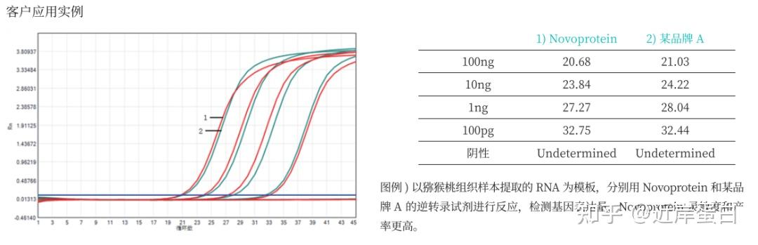qPCR技术小讲堂第二期：从RNA到cDNA - 知乎