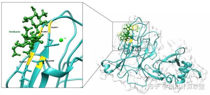 分子模拟||Pymol开源版安装步骤及教程 - 知乎