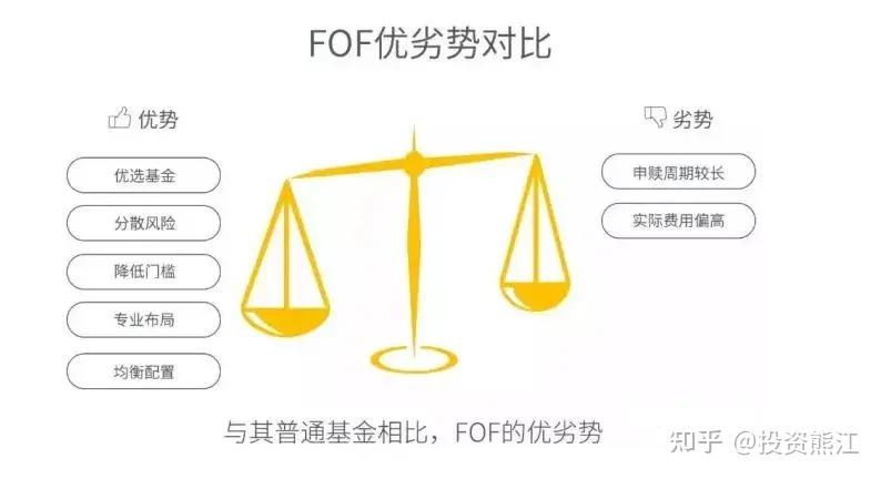 一文全面介绍FOF基金！（定义/类型/优缺点/与LOF区别/基金有哪些？） - 知乎