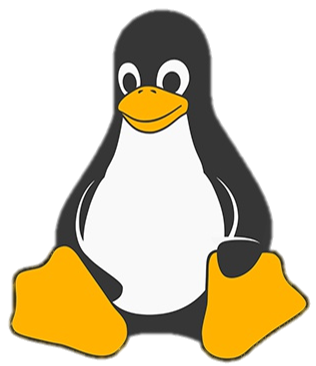 Linux page fault代码分析 - 知乎