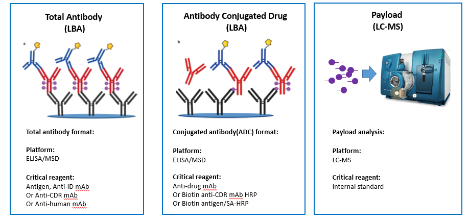生物分析 | 抗体偶联药物ADC的临床生物分析难点与策略 - 知乎