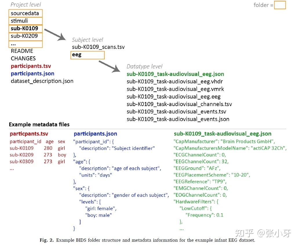 BIDS格式，聚类置换检验及其效应量计算 - 知乎