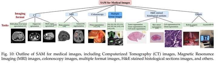 Segment Anything Model (SAM)发布了一个多月，有哪些应用呢？请看综述（二） - 知乎