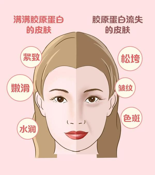 天天熬夜,胶原蛋白流失严重,有什么办法补救呢? 知乎