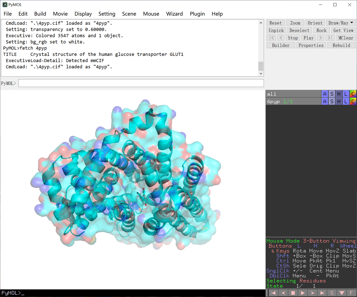 如何使用pymol绘制蛋白表面图 - 知乎